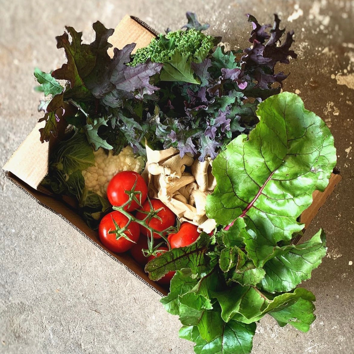 Our Boxes – FarmCo Market